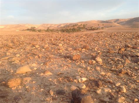 유기성 광야에서 살 수 있겠느냐” 어제 맛사다 근처 광야에서 하루를 보내고 예루살렘으로 돌아왔습니다 광야에 있는 베두인 천막에서 하루 밤을 잔 후 아침에 일어나자