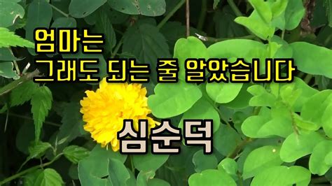 엄마는 그래도 되는 줄 알았습니다 심순덕 Youtube