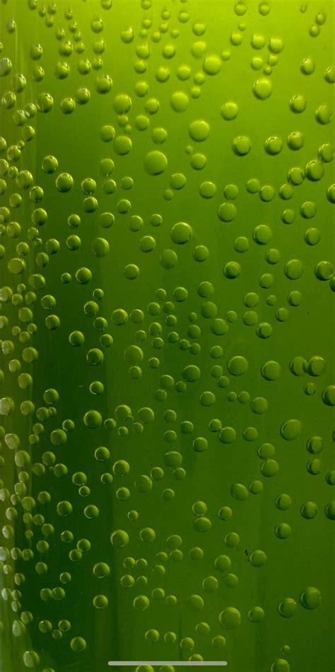 Benjamin Schmid On Linkedin Microalgae Greeninnovation