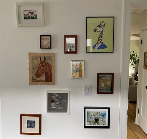 Curated Gallery Wall Collection Critters Nature And Intrigue 10