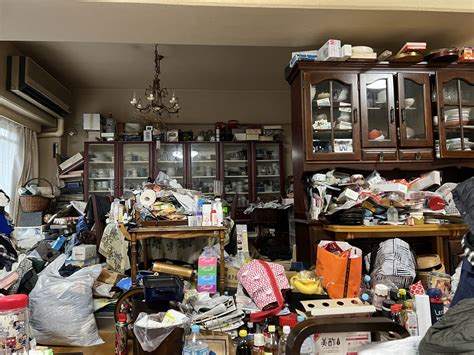 実家の汚屋敷具合が酷くなっていた おうちごと