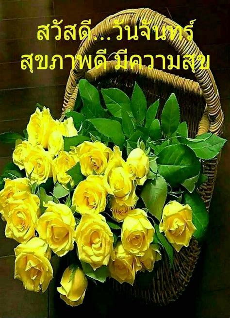 ปักพินในบอร์ด สวัสดีวันจันทร์ ดอกไม้ ช่อดอกไม้ อรุณสวัสดิ์
