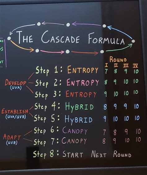 Cascade Formula Electric Beach