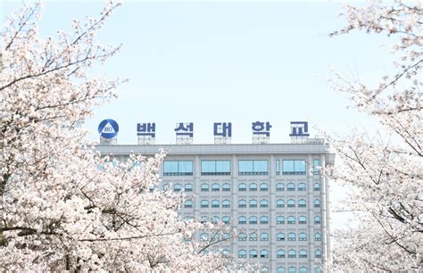 백석대 물리치료학과 82년생 교수 여대생 불륜 사건 아내가 직접 올린 입장문 충격 내용 네이버 포스트