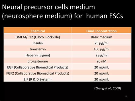 Differentiation Of Neural Cells In Human Embryonic Stem Pdf