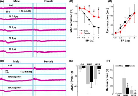 Sexual Difference In Substance P SP Mediated Blood Pressure BP Download Scientific Diagram