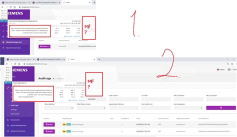 does not show sql query with using addentityframework on miniprofiler