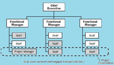Organic Matrix Organization