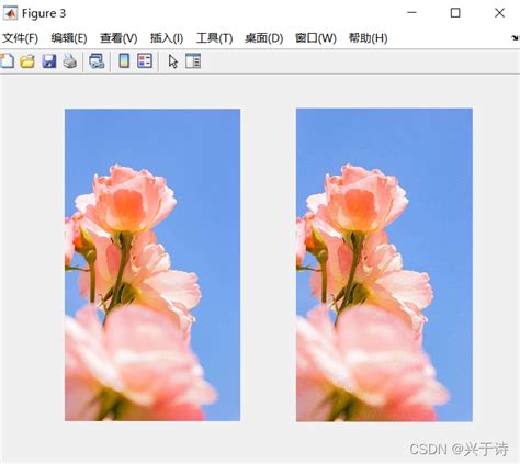 Matlab Imread（）读到了什么 （浅显 当复习文档了）imread读取图片得到的数据是什么 Csdn博客