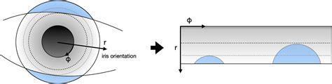 Iris Recognition Inference System