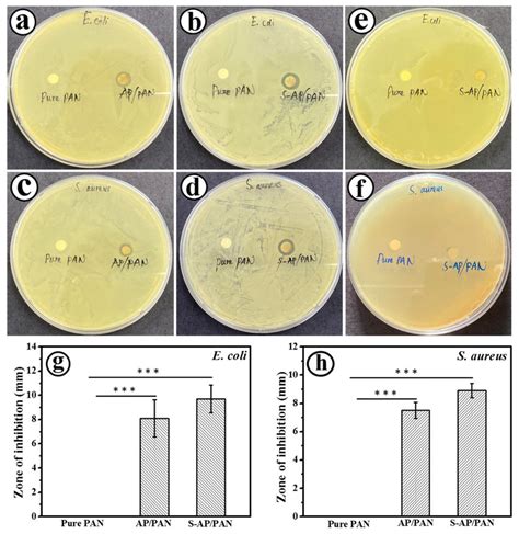 Disk Diffusion Test On E Coli A B And S Aureus C D By Pure Pan Download Scientific