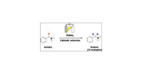 Amides Examples
