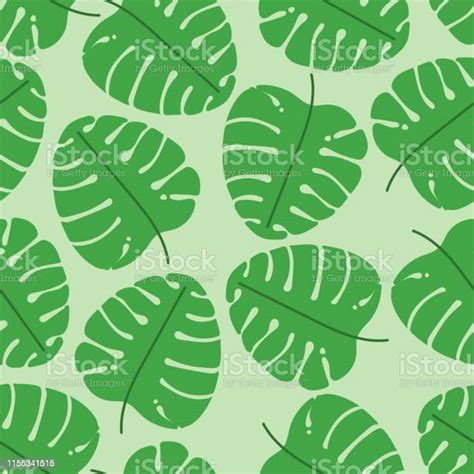 잎 완벽 한 패턴입니다 녹색 몬스 테라 잎 벡터 일러스트입니다 스크랩북 선물 포장 종이와 직물 패션 디자인 배경입니다 열 대 질감 0명에 대한 스톡 벡터 아트 및 기타