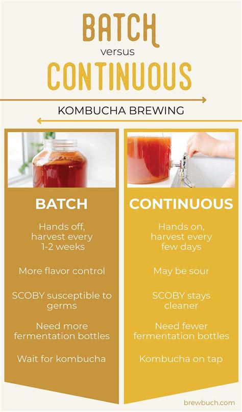 Whats The Difference Between Continuous And Batch Brewing Kombucha And Which Is Best For You
