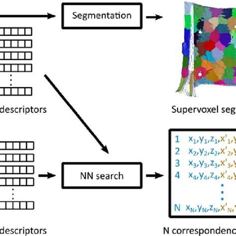 Schematic Representation Of The F S Workflow In The First Step Download Scientific Diagram