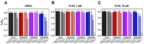 The Maximum Quantum Yield Of Psii Photochemistry Fv Fm In Download Scientific Diagram