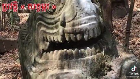 ប្រវត្តិសត្វម្ករ Tnaot