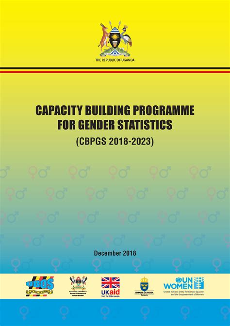 Capacity Building Programme For Gender Statistics 2018 2023 Un Women