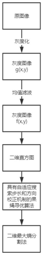 two dimensional maximum entropy hole image segmentation method based on bionic optimization