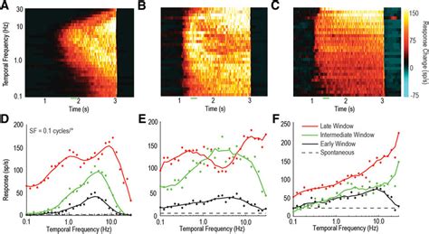 Individual Ltcs Show Varied Patterns Of Tuning At Different Temporal Download Scientific