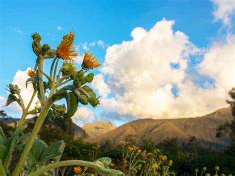 envato tuts review simplyhindu