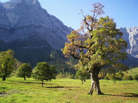 Assess Your Innovation Capability Maturity