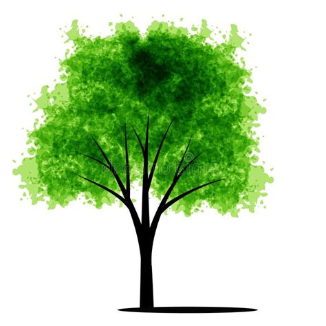 Vector Tree Stock Vector Illustration Of Foliage Green 48648577