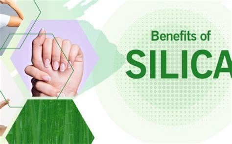 Silica Tin Tức Hình ảnh Video Bình Luận Mới Nhất