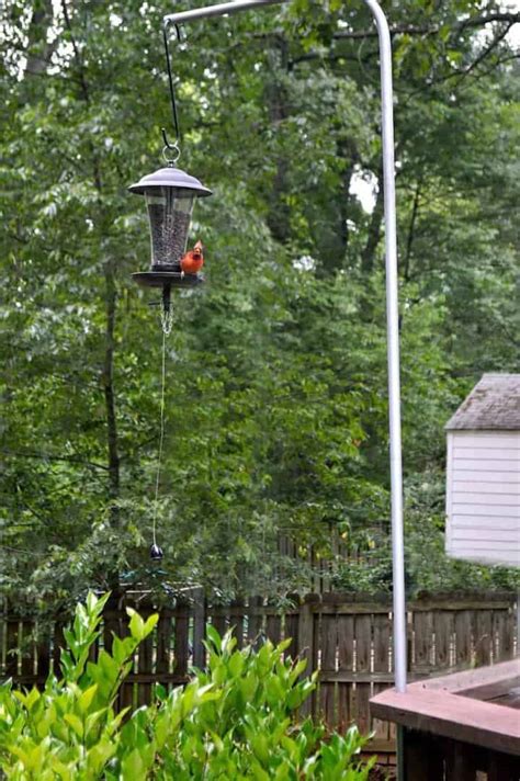 DIY Bird Feeder Pole For Under 5 Chatfield Court