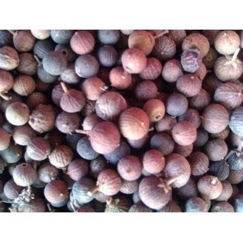 Embelia Ribes At Best Price In Haveri By Simnani Trading Company Id 17147474648