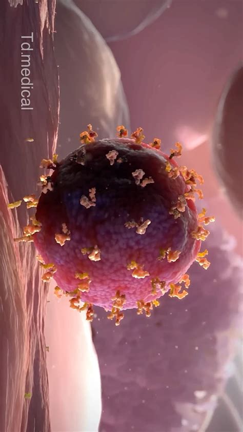 ‎medical Learning آموزش زیست نوین‎ ‎اینم از قول این هفته مون به