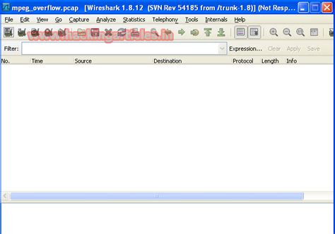 Hack Remote PC Using Wireshark Wiretap Mpeg C Stack Buffer Overflow