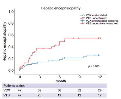 Why Does Hepatic Encephalopathy Develop After Transjugular Intrahepatic Portosystemic Tips