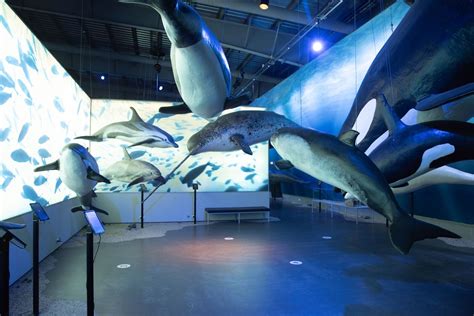 Top 8 Museums In Reykjavík You Shouldnt Miss In 2026