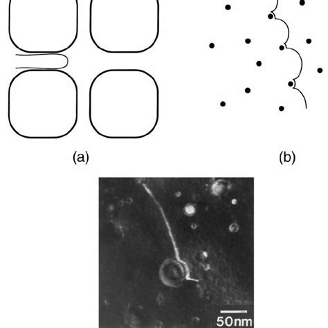 Dislocation±particle Interaction In Ordered Matrix Materials As