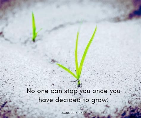 Waleed Afifi On Linkedin 👌👌