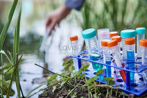 Precision Researchers Conduct Water Quality Testing Image And Picture