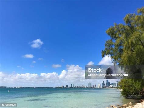 마이애미의 일반 풍경 의 날 촬영 브릭켈 코코넛 그루브 마이애미 플로리다 플로리다에서 다운타운 스카이 라인 마이애미에 대한 스톡 사진 및 기타 이미지 Istock