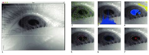 Pupil An Open Source Platform For Pervasive Eye Tracking And Mobile Gaze Based Interaction Deepai