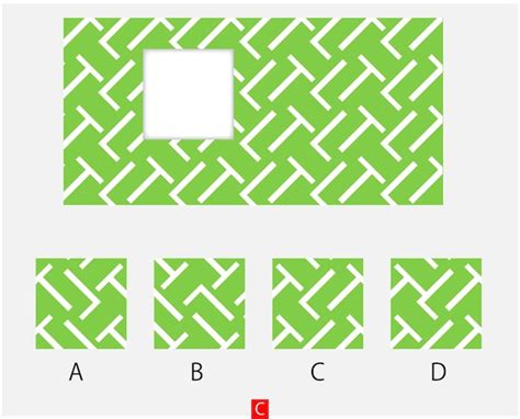 Premium Vector Find The Missing Mind Game Brain Questions Iq Test