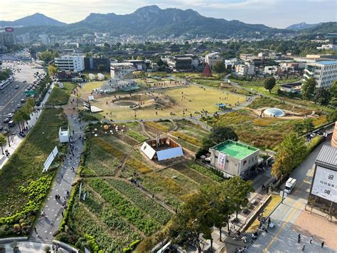 열린송현녹지광장 가을꽃 20만본 만개한 도심 속 정원으로의 초대 서울로컬뉴스 열린송현녹지광장 가을꽃 20만본 만개한 도심 속 정원으로의 초대 서울로컬뉴스