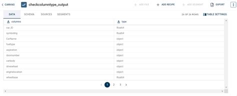 check column types — rapidcanvas documentation