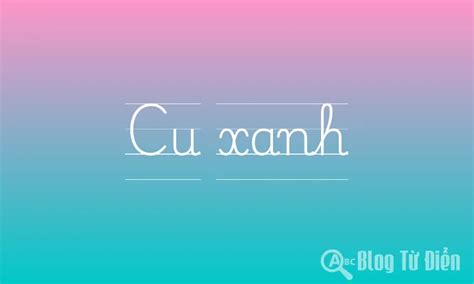 Danh Từ Cu Xanh Là Gì Từ đồng Nghĩa Trái Nghĩa Từ Điển Tiếng Việt