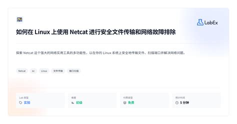 如何在 Linux 上使用 Netcat 进行安全文件传输和网络故障排除 Labex