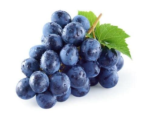その数10 000種類以上世界で愛されるぶどうの種類や特徴 食料理 オリーブオイルをひとまわし