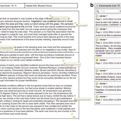 A Example Of Feedback Comments On Descriptive Task Of Stage 1 Of Download Scientific Diagram