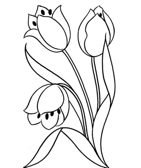 Desene Cu Lalele De Colorat Imagini și Planșe De Colorat Cu Flori Lalele