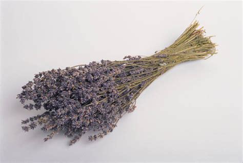 Lavender Bouquet Good Old Days Florist The Eco Florist