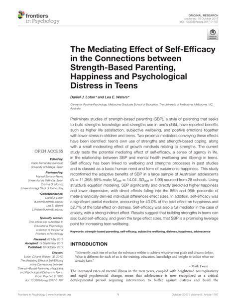 Pdf The Mediating Effect Of Self Efficacy In The Connections Between