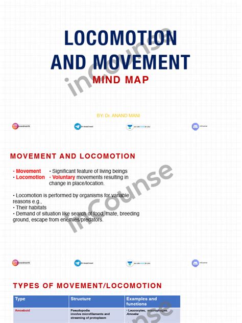 Mind Map Locomotion And Movement Final 1 Pdf Vertebral Column Muscle Contraction